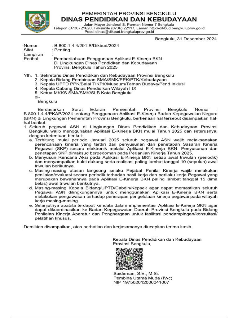 Pemberitahuan Penggunaan EKin BKN | PDF