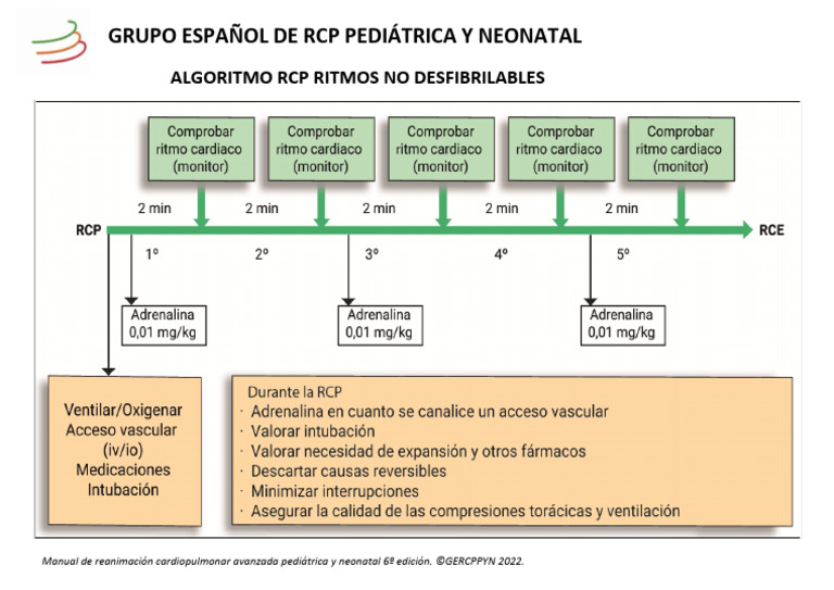 ALGORITMO RCP AVANZADA RITMOS NO DESFIBRILABLES Horizontal DINA3 y A4 | PDF