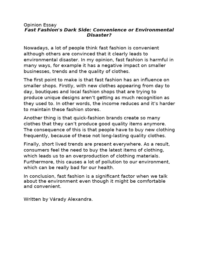 Opinion Essay | PDF