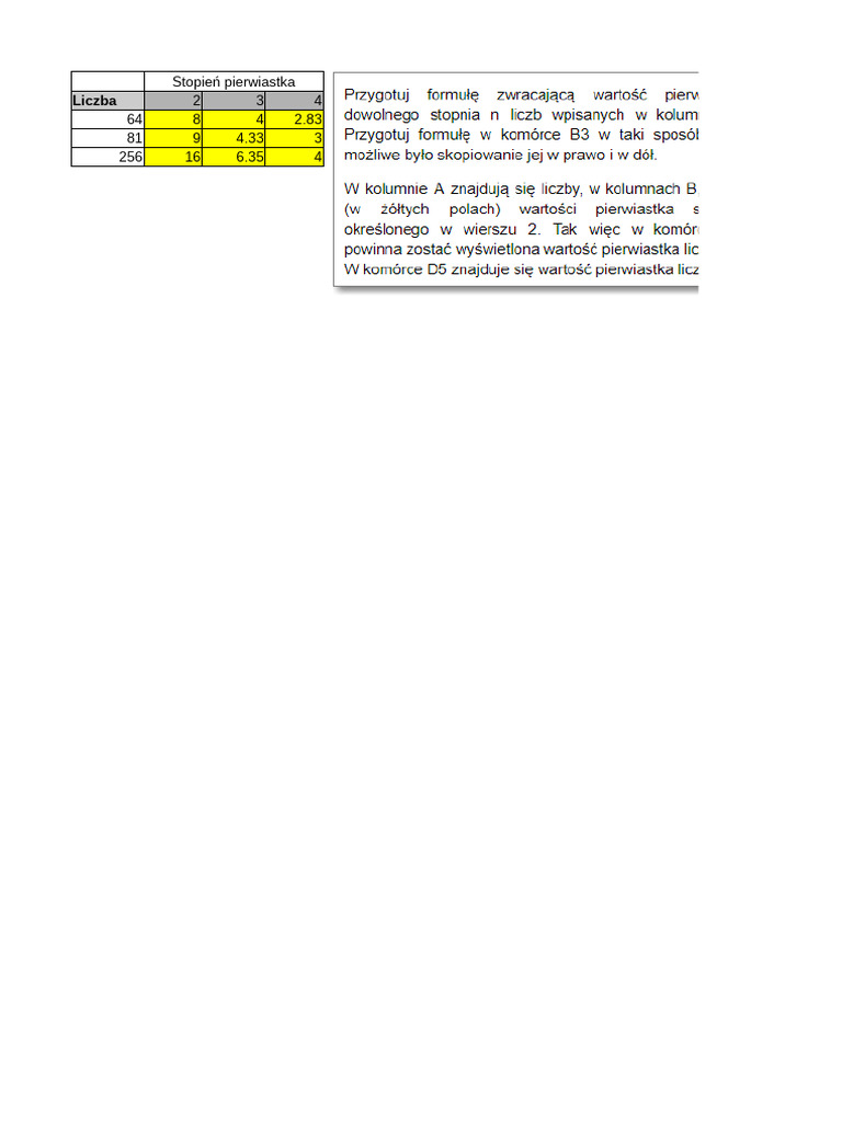 EXCEL Funkcje 1 | PDF