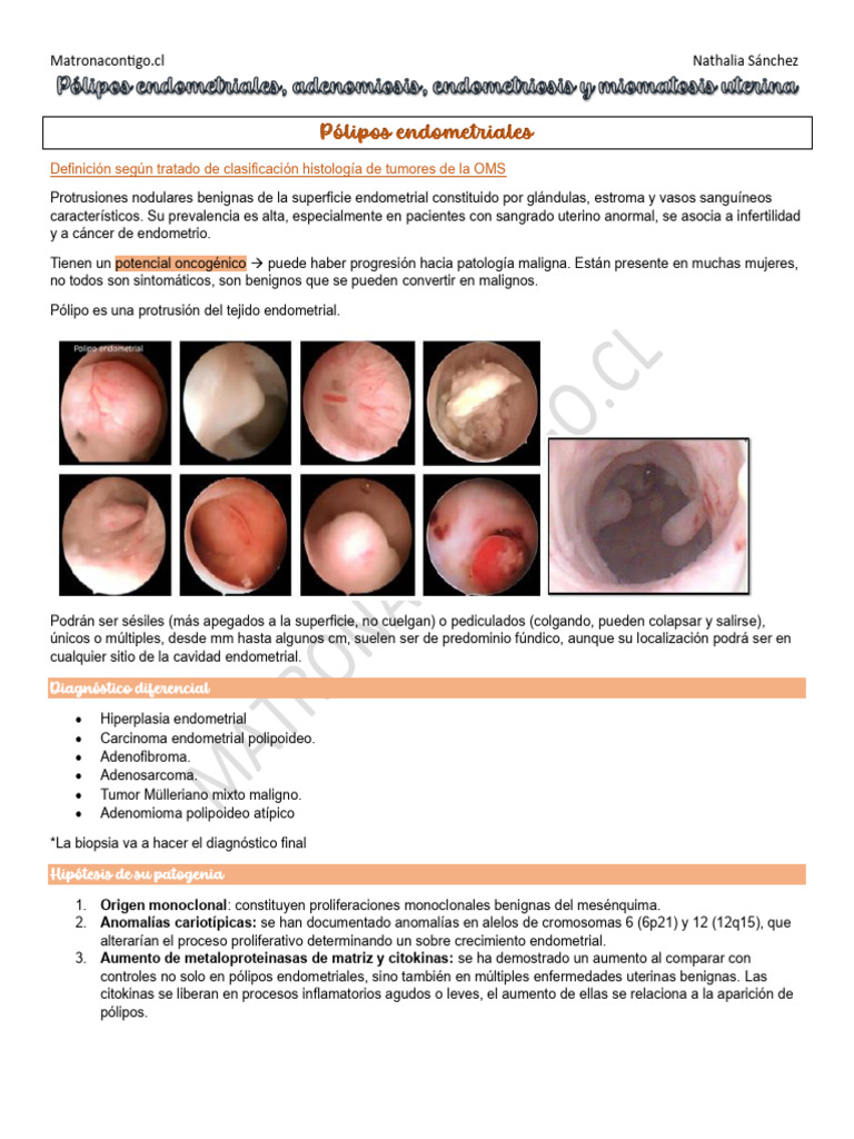 Pólipos Endometriales: Guía Clínica | PDF | Útero | Ginecología