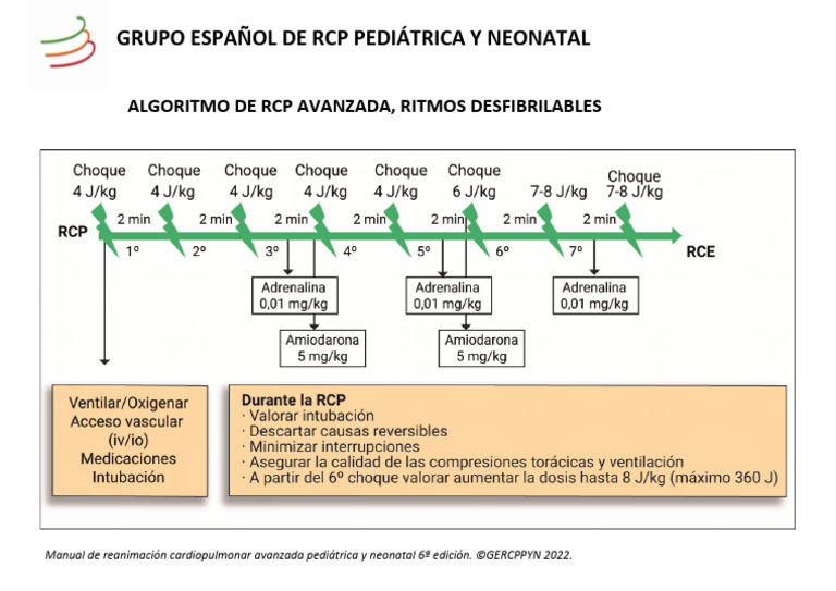 ALGORITMO RCP AVANZADA RITMOS DESFIBRILABLES Horizontal DINA3 y A4 | PDF