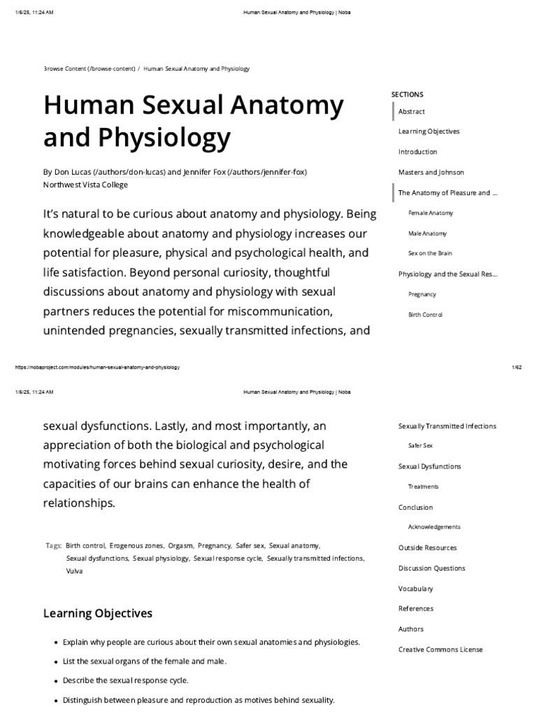 Human Sexual Anatomy and Physiology - Noba | PDF | Sexually Transmitted ...