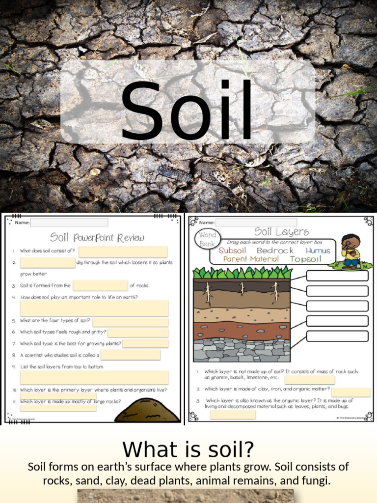 Soil Editable PowerPoint | PDF | Soil | Loam