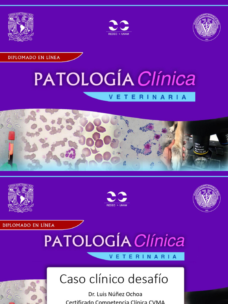 Caso Clínico Evaluación LNO | PDF