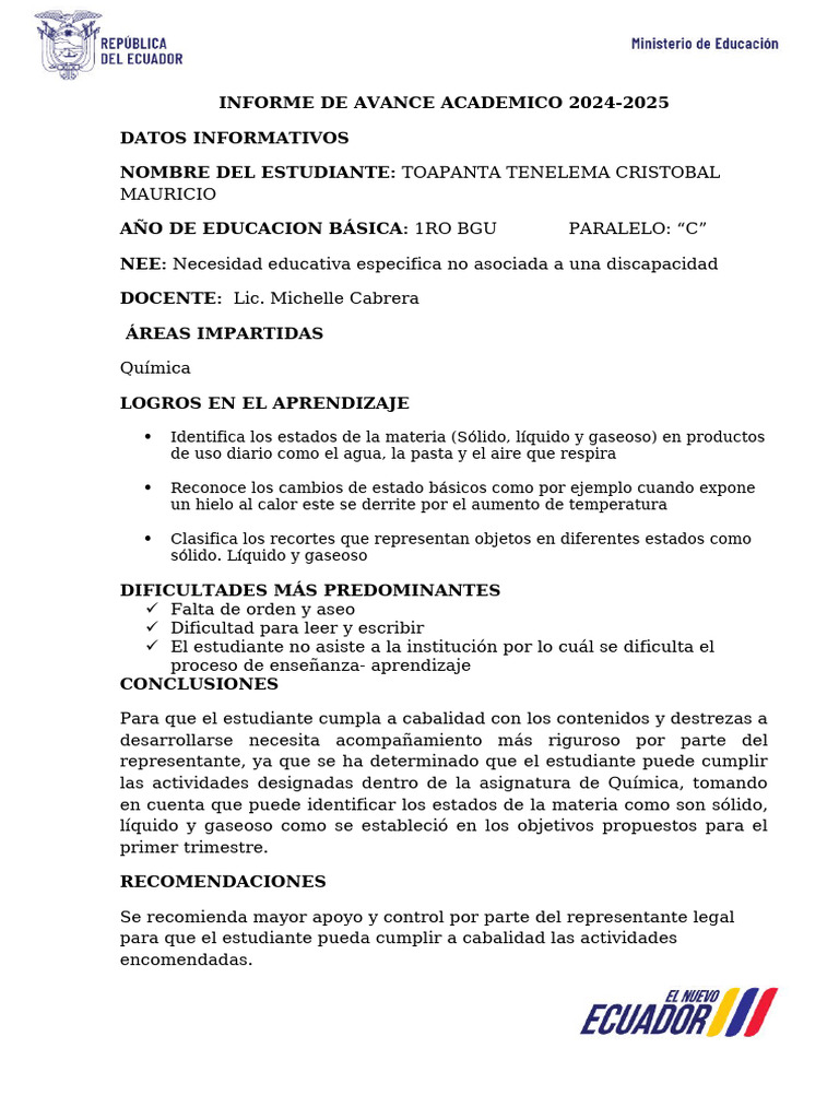 INFORME DE AVANCE ACADEMICO 2024 | PDF | Importar | Educación primaria