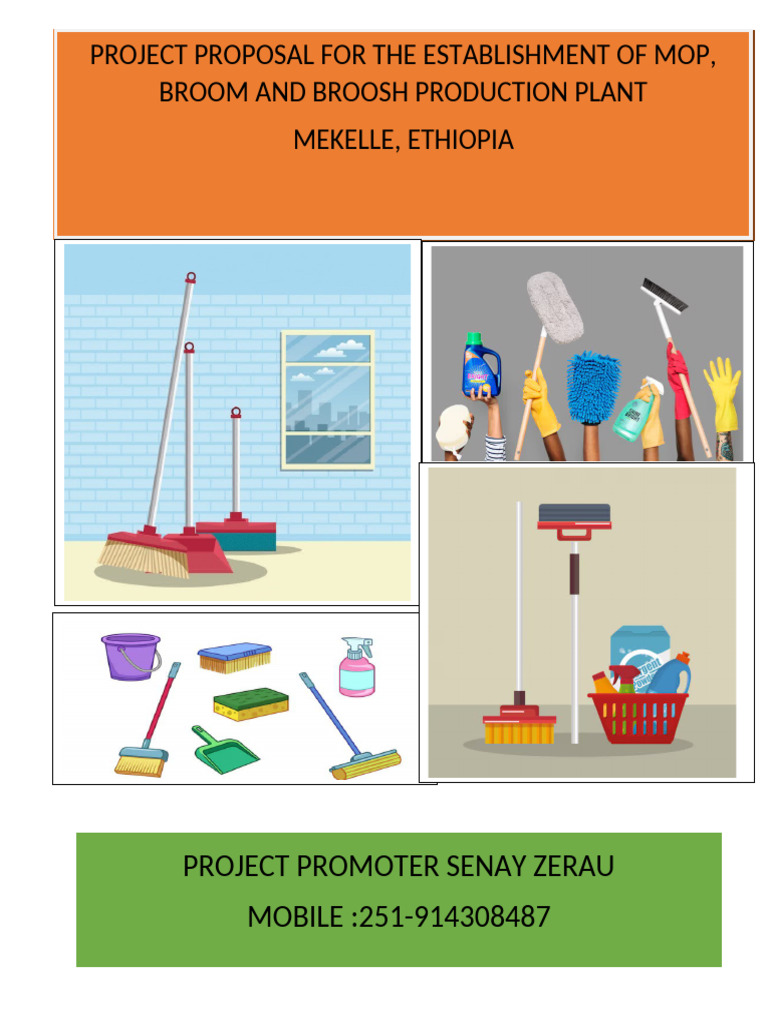 Detail Mop Project Proposal | PDF | Internal Rate Of Return | Net ...