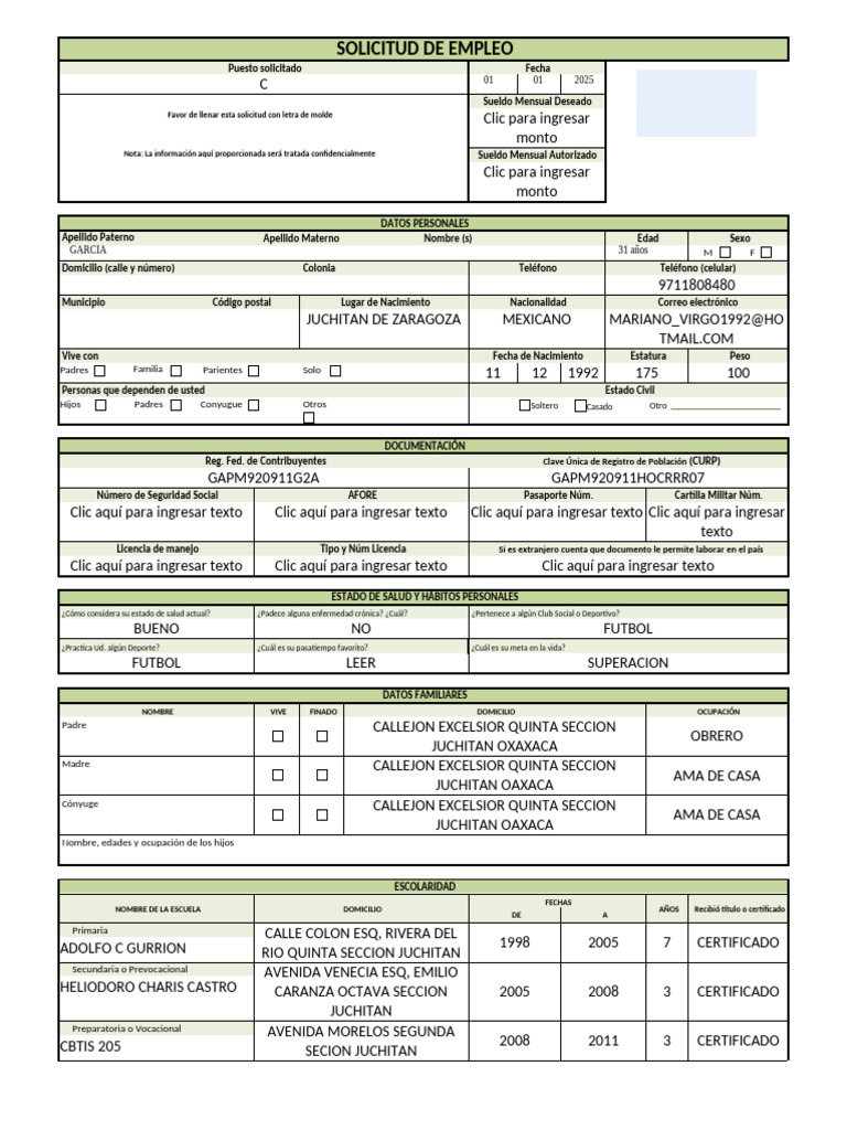 Formato Solicitud de Empleo | PDF