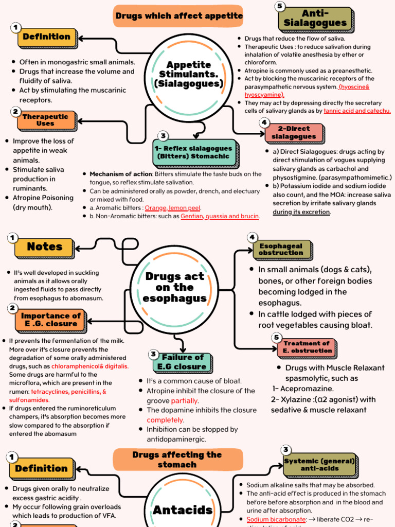 Sialagogues and Antacids in Veterinary Care | PDF | Vomiting | Saliva