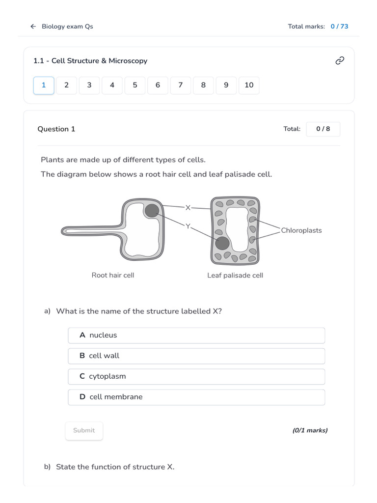 Cell Biology Basics Quizes | PDF