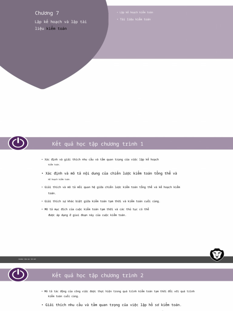 Chapter 7 - Audit Plan | PDF
