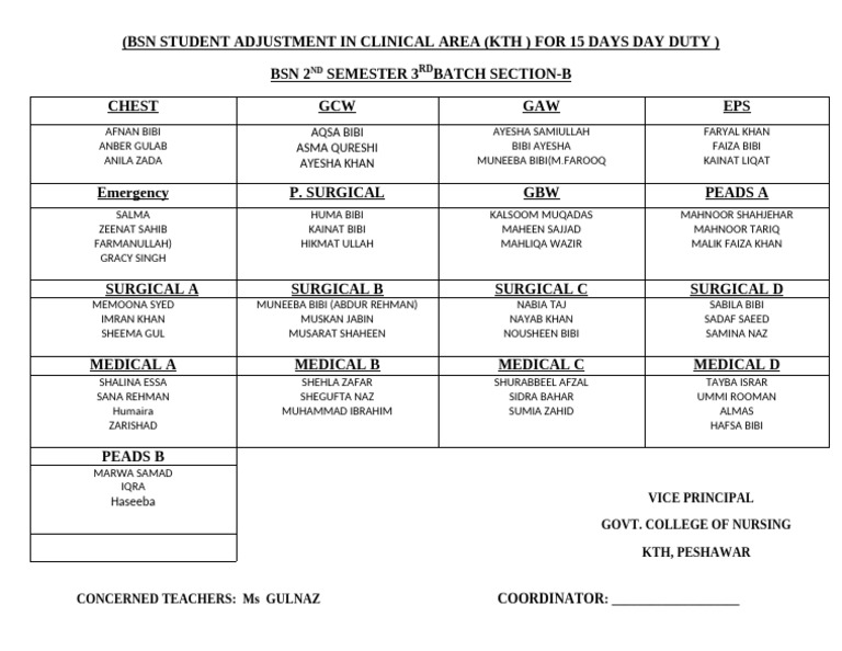 clinical placement section-b (1) | PDF