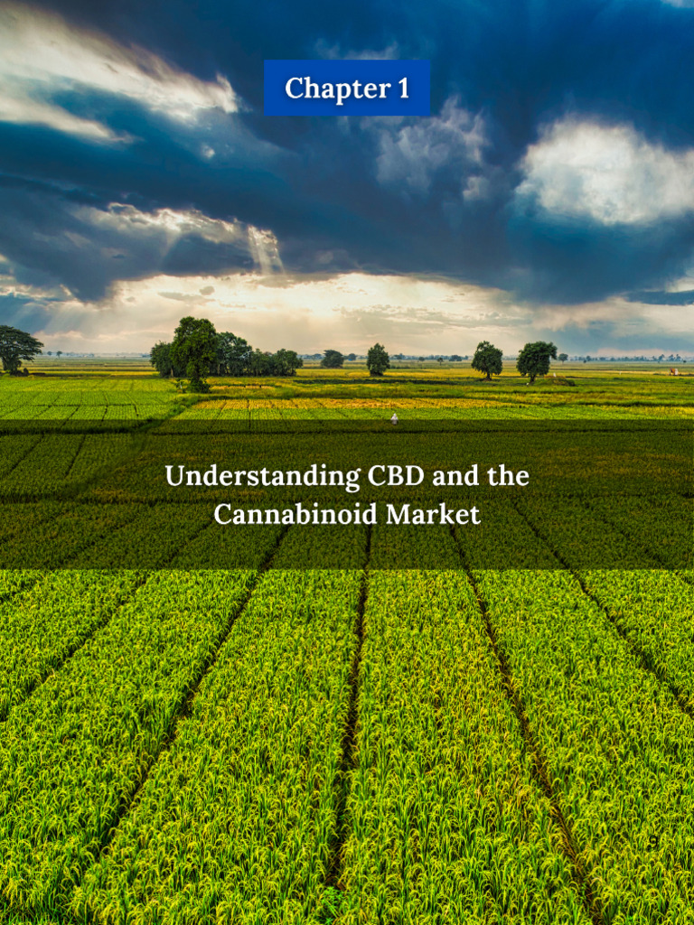 The Science of Cannabinoids Chapter 1: Understanding CBD and the Cannabinoid Market | PDF ...