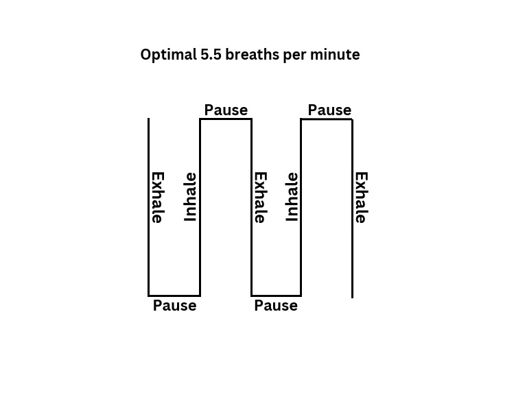 Optimal Breathing Rate: 5.5 BPM | PDF