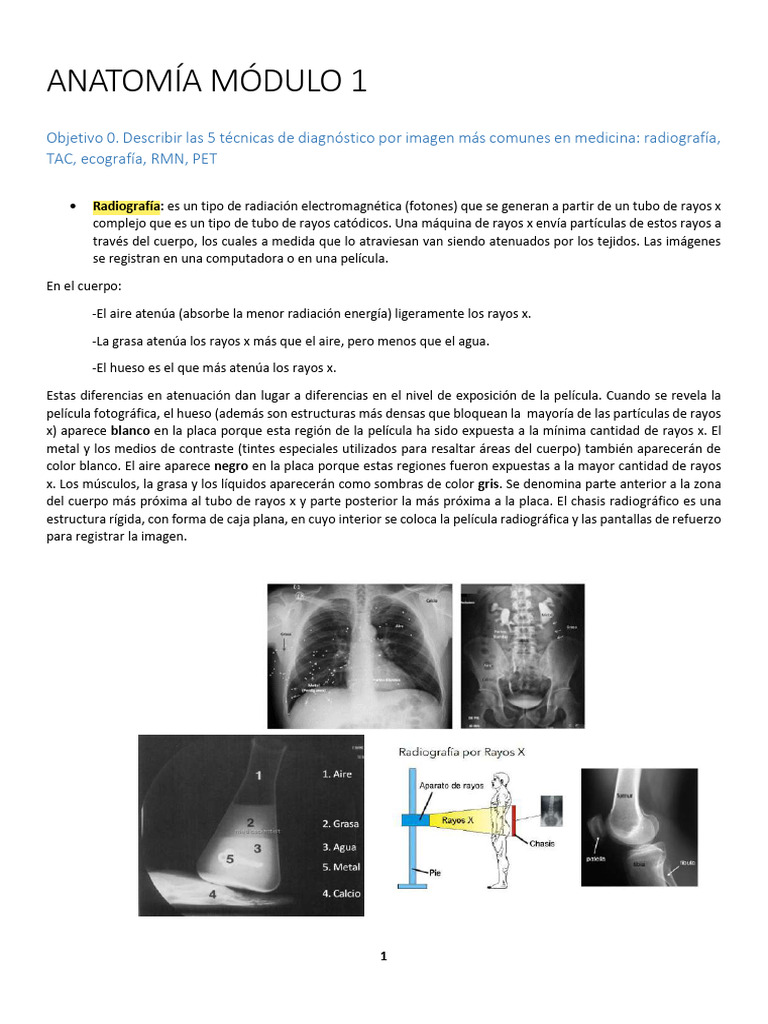 MÓDULO I. Anatomía I - Compressed | PDF | Sistema linfático | Sistema circulatorio