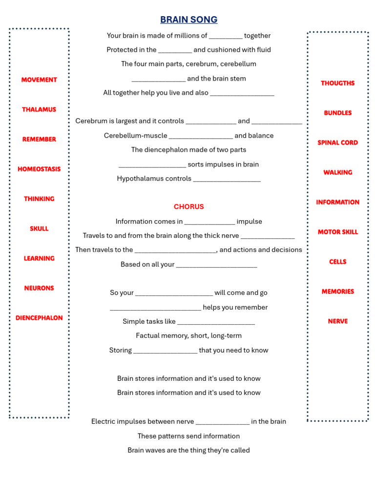 The Brain Song Worksheet | PDF | Brain | Nerve