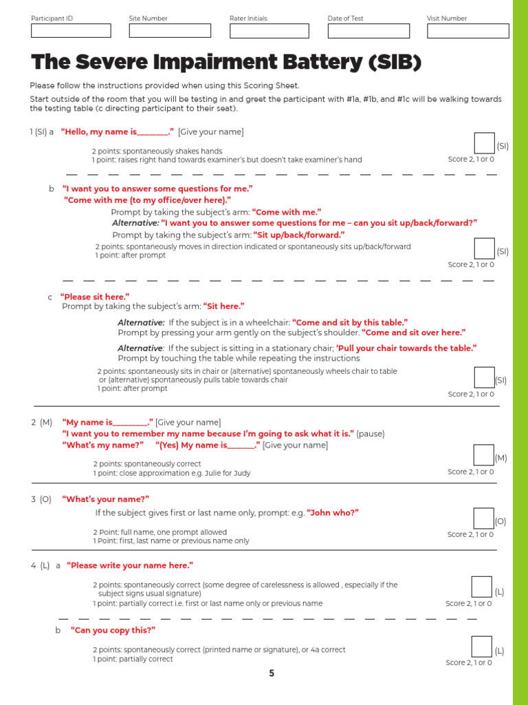 The Severe Impairment Battery SIB and Shoebox | PDF | Shape | Tableware
