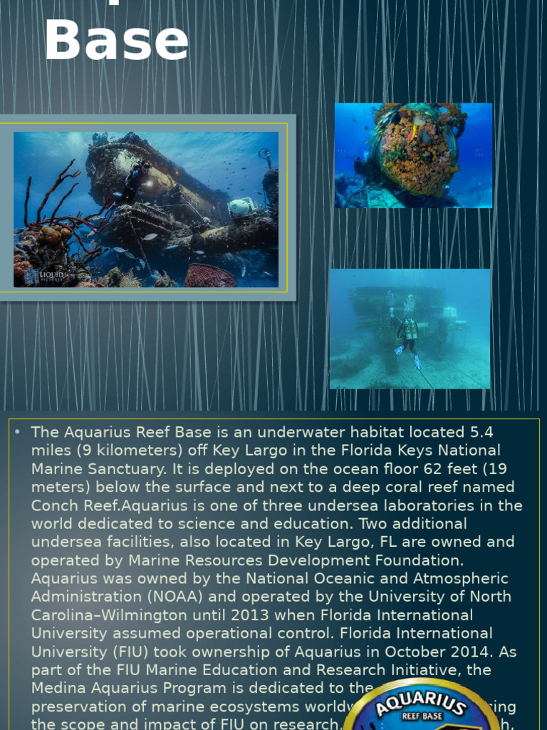 Aquarius Reef Base: Underwater Research Hub | PDF | Underwater Diving ...