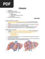 Anatomia e Histologia Do Fígado | PDF | Fígado | Hepatócito