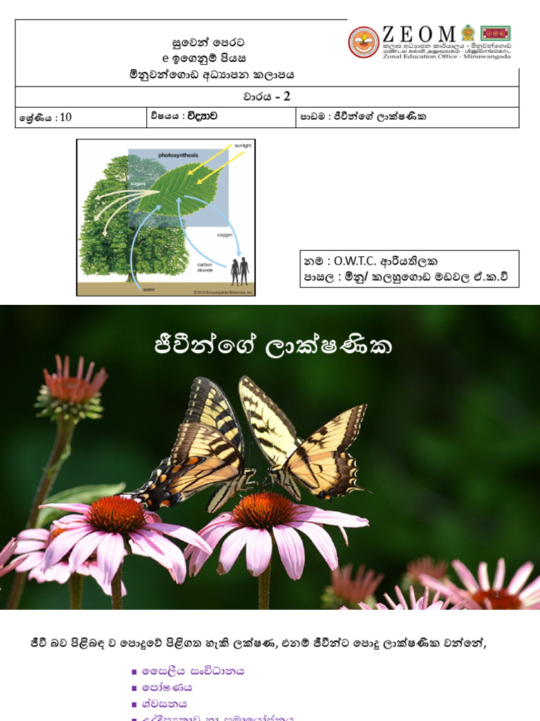Jeevinge Lakshanika - Grade 10 Science Lesson 08 Short Note | PDF