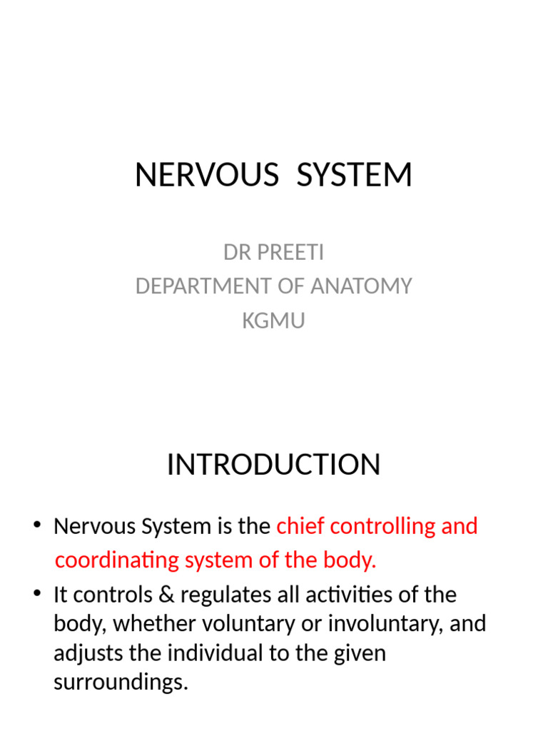 Nervous System 1 Pdf Nerve Nervous System