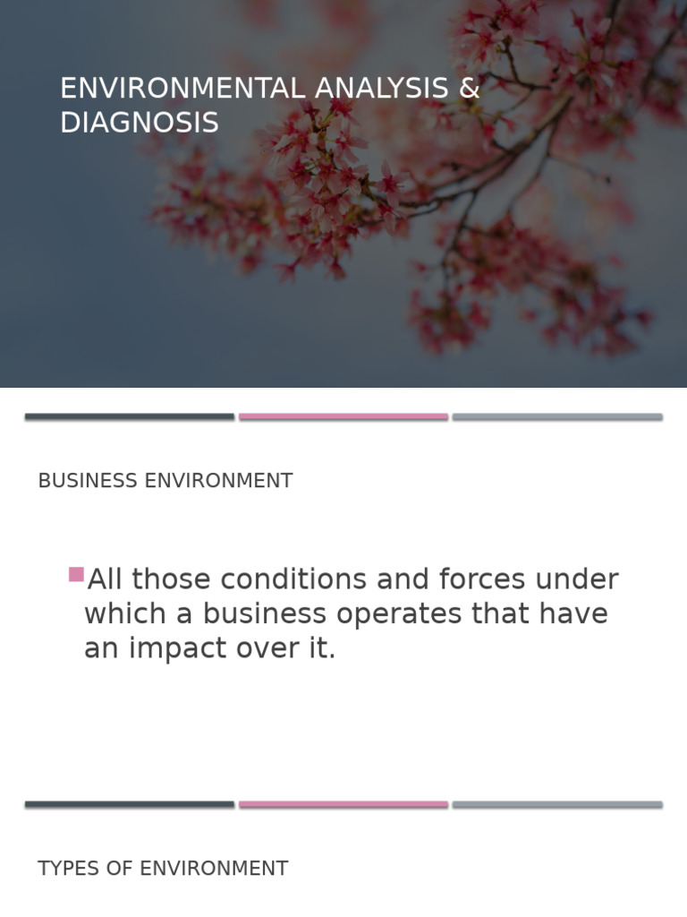 2 Environmental Analysis and Diagnosis | PDF | Business | Marketing