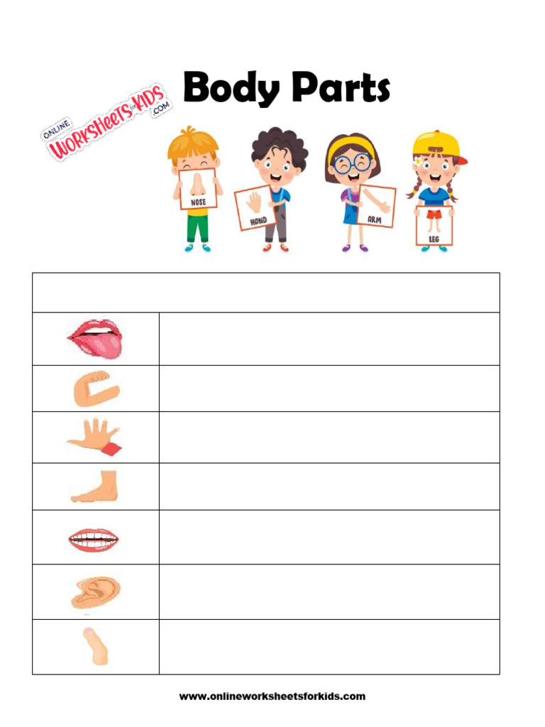 Body Parts Worksheet 5 | PDF