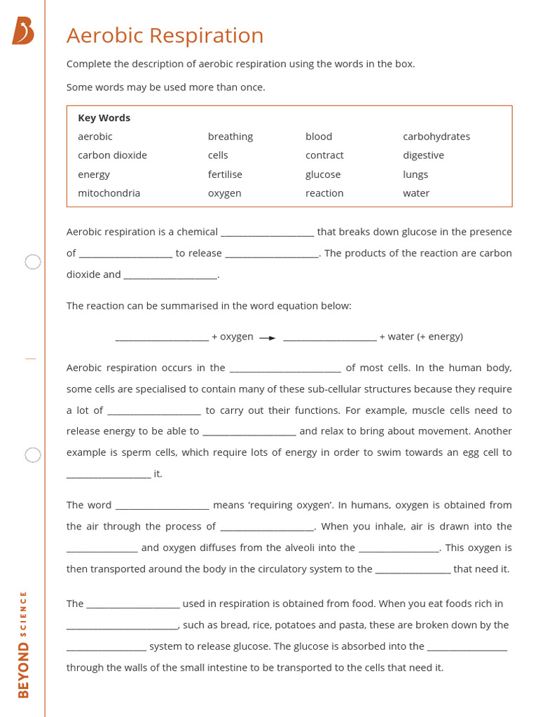 Gap Fill Worksheet-Aerobic Respiration | PDF