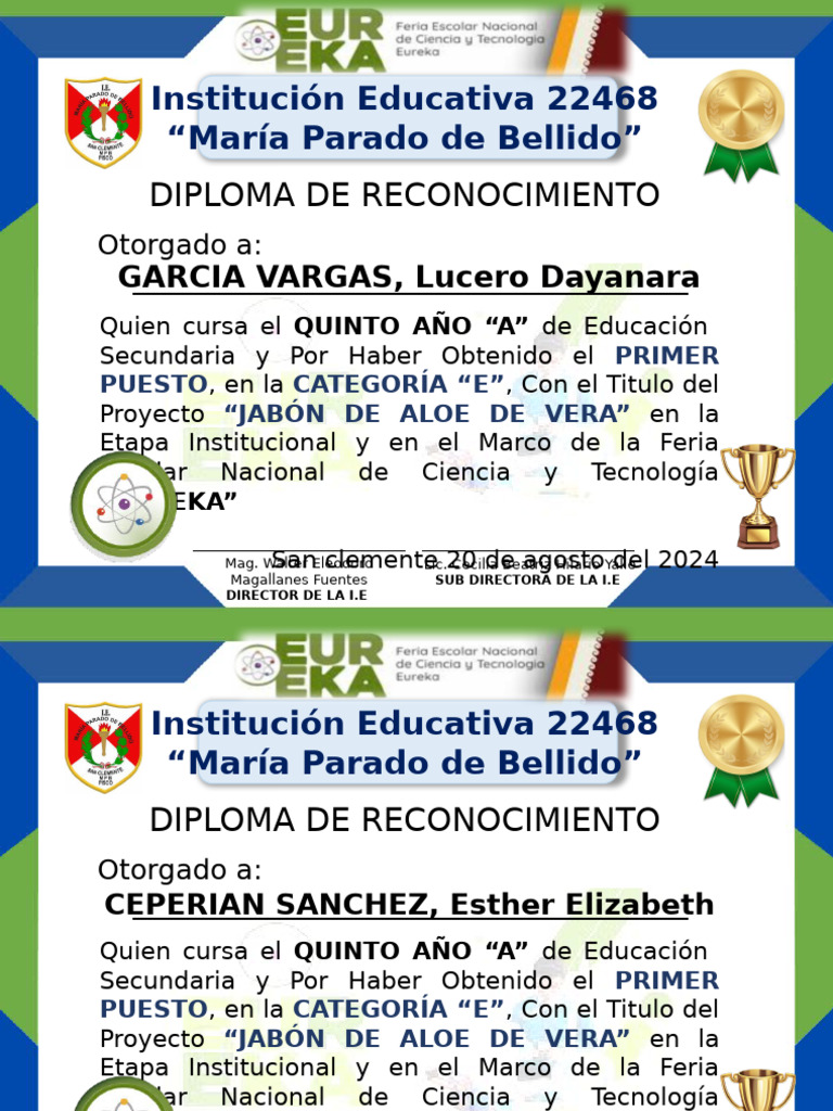 Diploma Primer Puesto | PDF