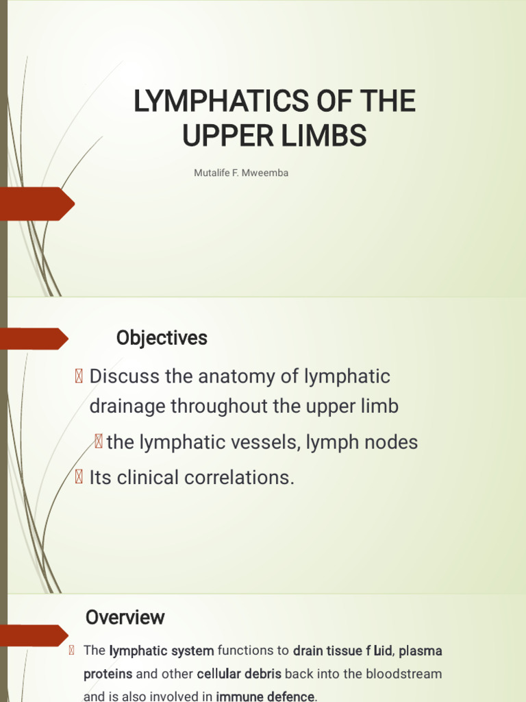 Upper Limb Lymphatic Anatomy Guide | PDF | Lymph | Vein