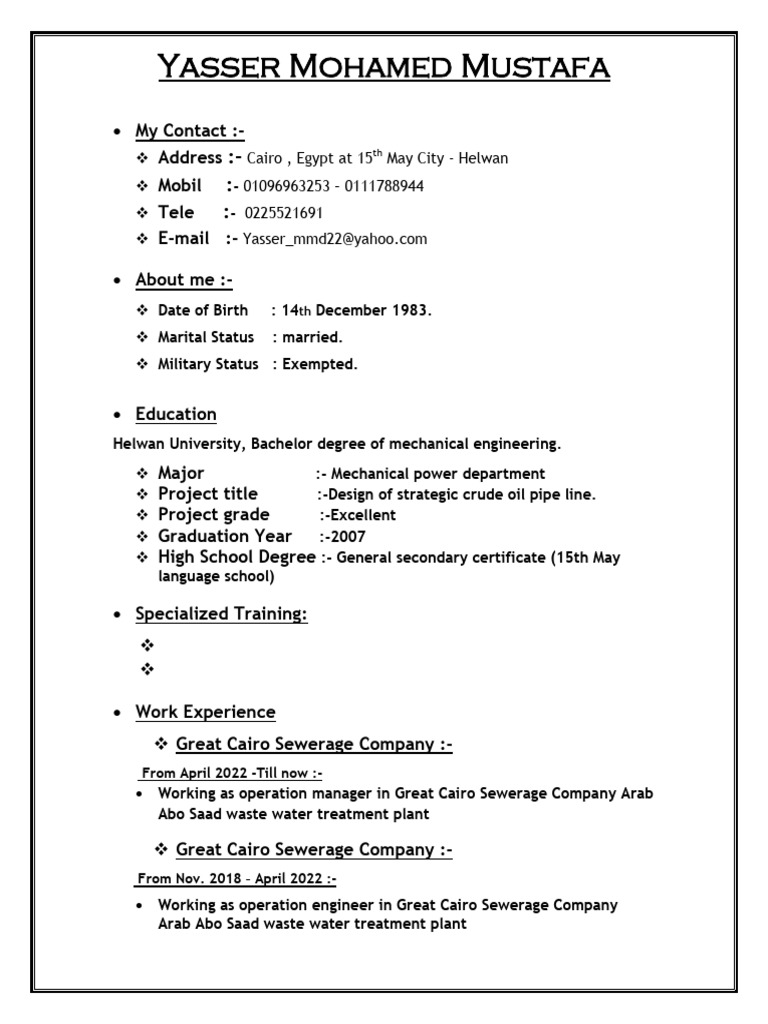 Yasser Mohamed CV 2 | PDF