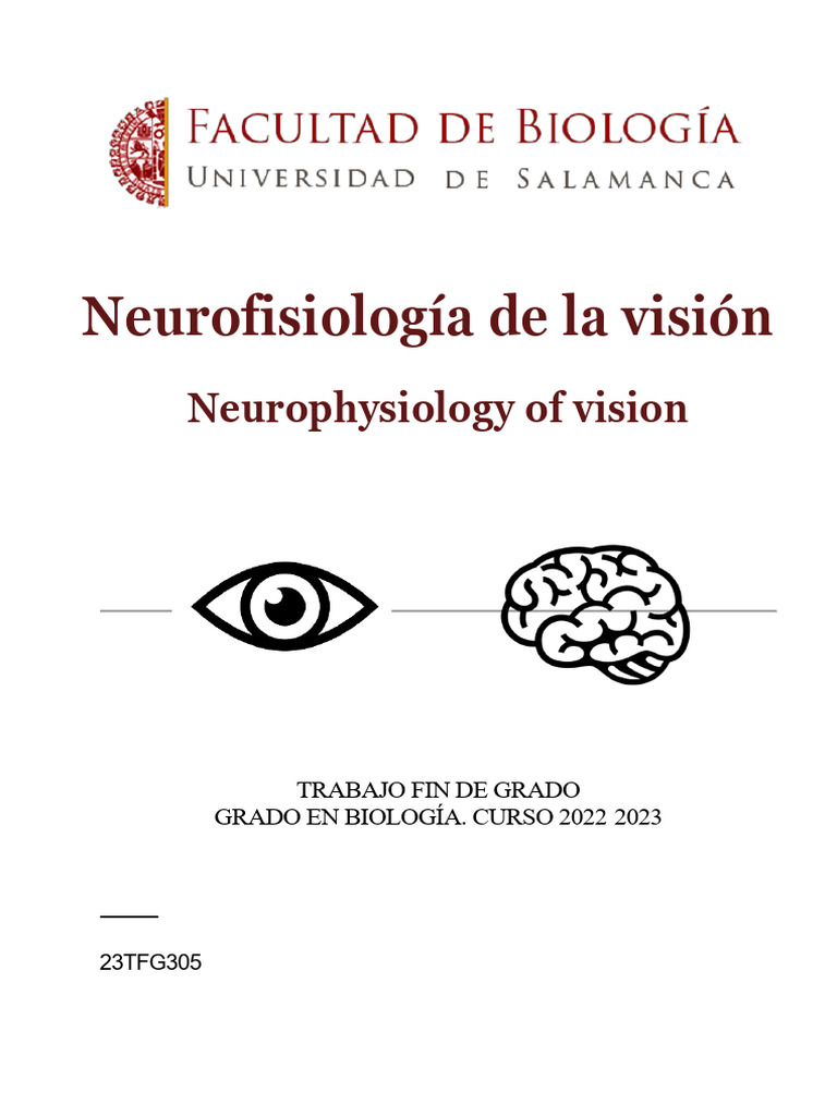 Neurofisiología de La Visión | PDF | Ojo humano | Percepción visual