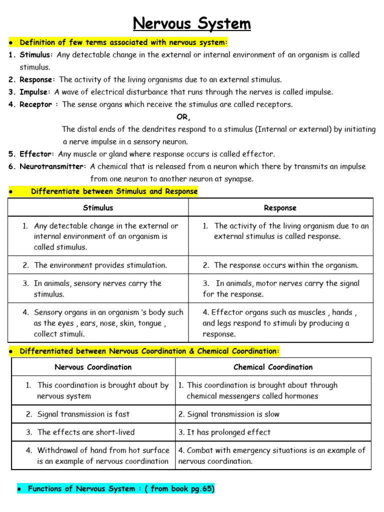 Nervous System | PDF | Stimulus (Physiology) | Neuron