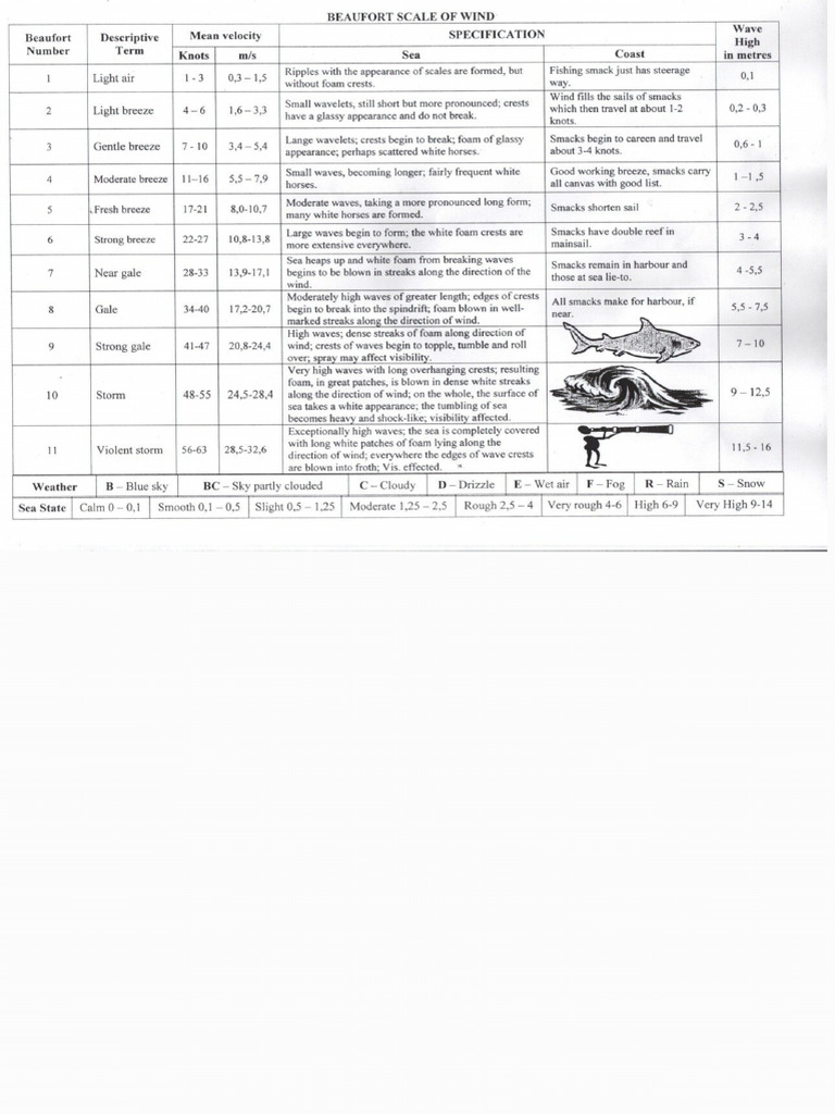 Beaufort Scale | PDF
