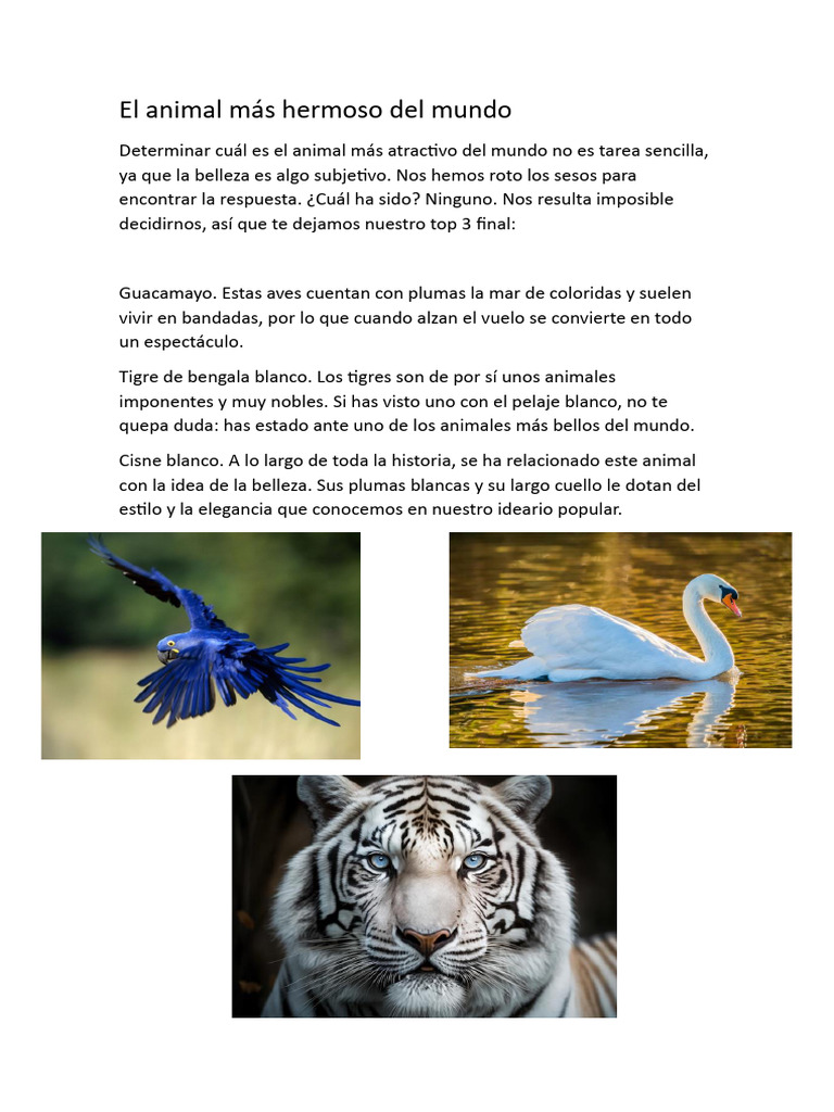 Top 3 Animales Más Hermosos del Mundo | PDF