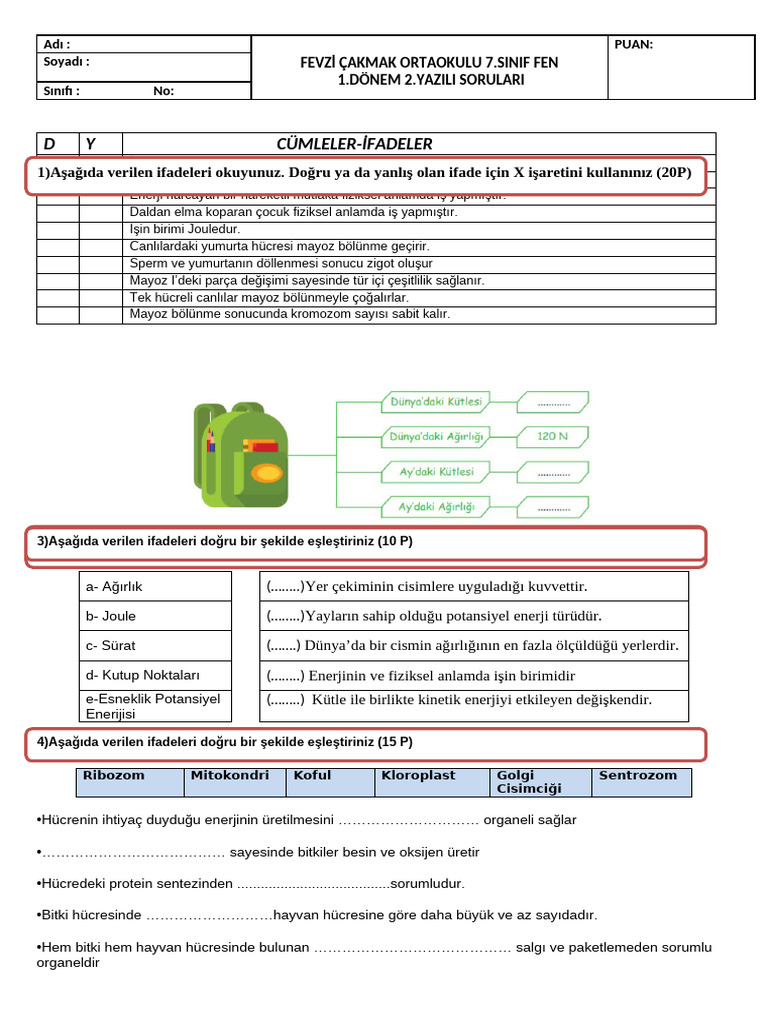 7.Sinif-Fen-Bilimleri-1.-Donem-2.-Yazili-Sorulari- | PDF