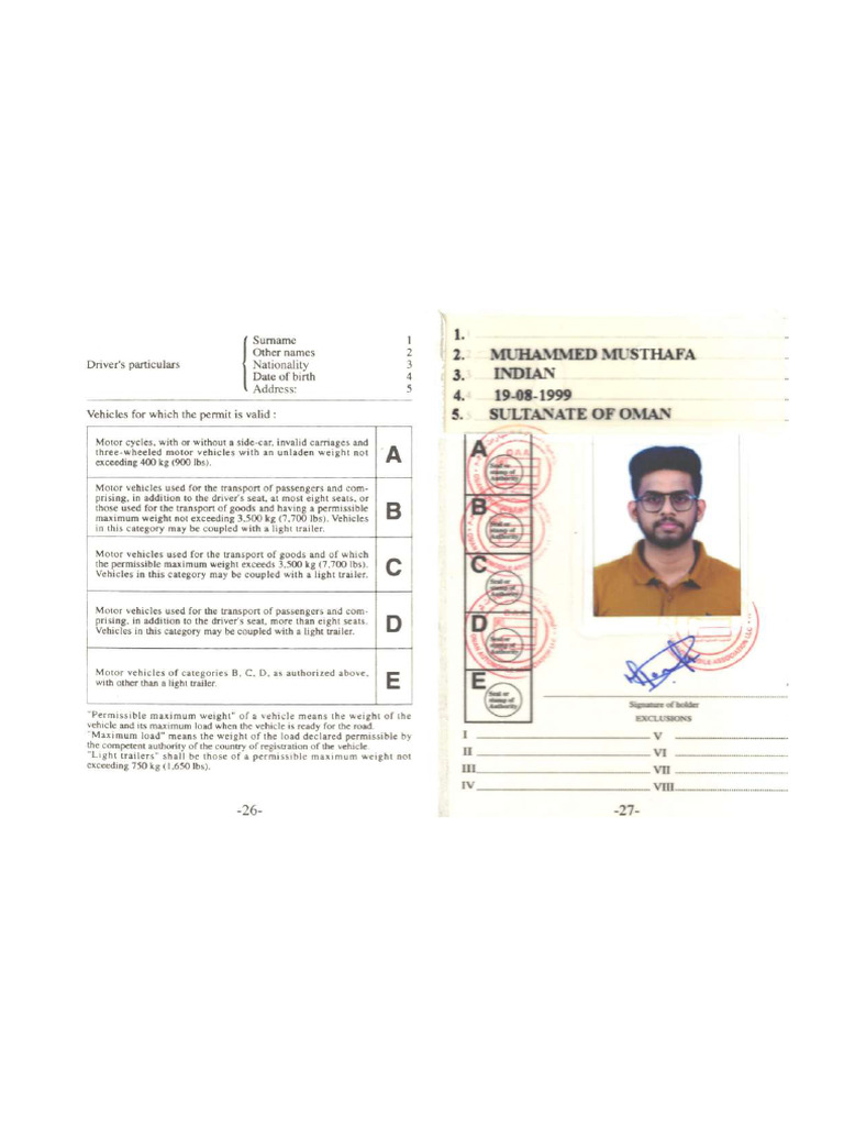 International Driving License | PDF
