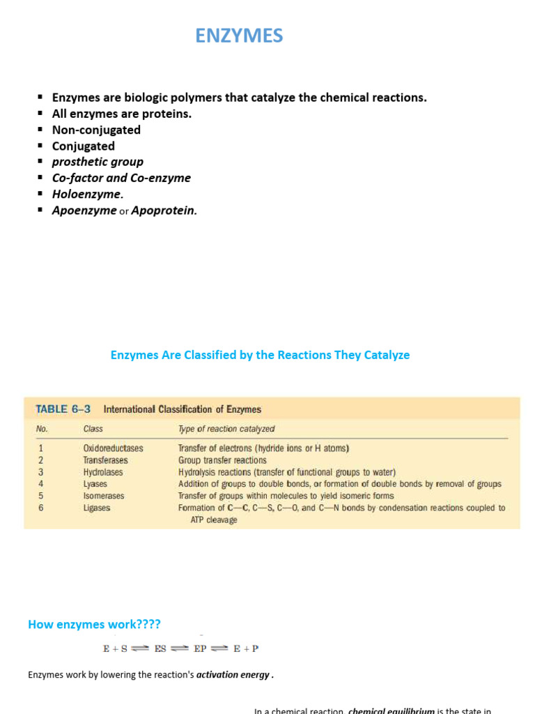 Enzymes Modified | PDF | Enzyme | Enzyme Kinetics
