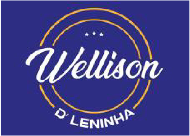 Welisson | PDF