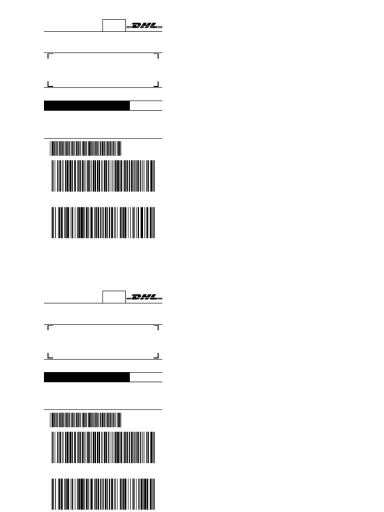 DHL Express Shipment Details | PDF