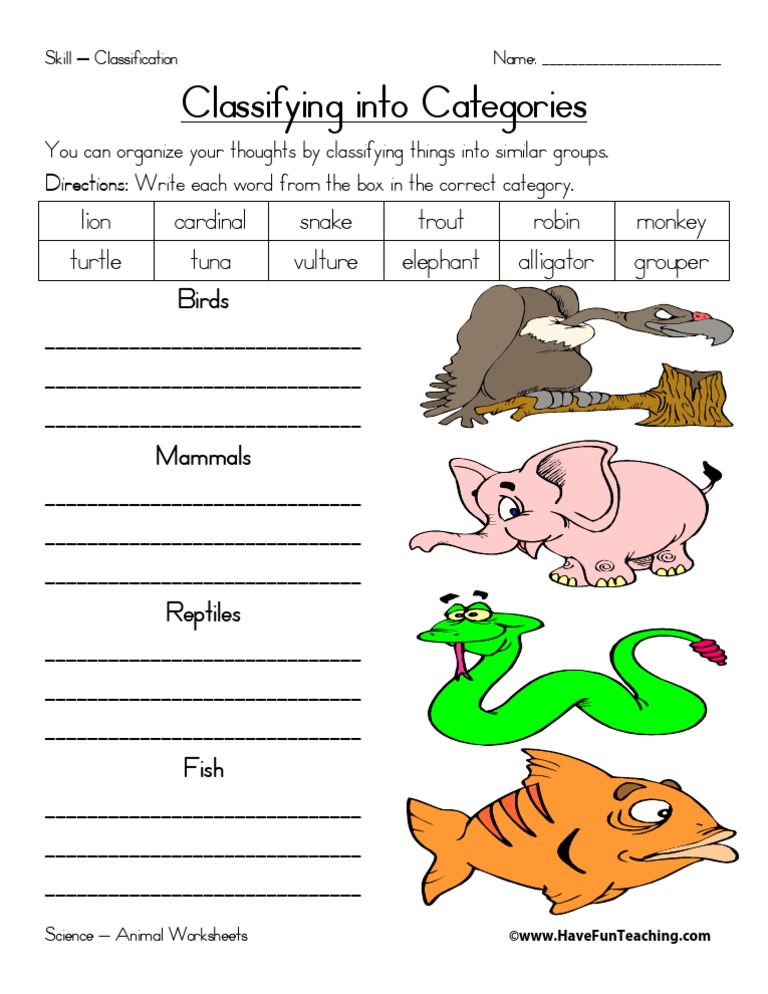 Animal Classification Worksheet | PDF