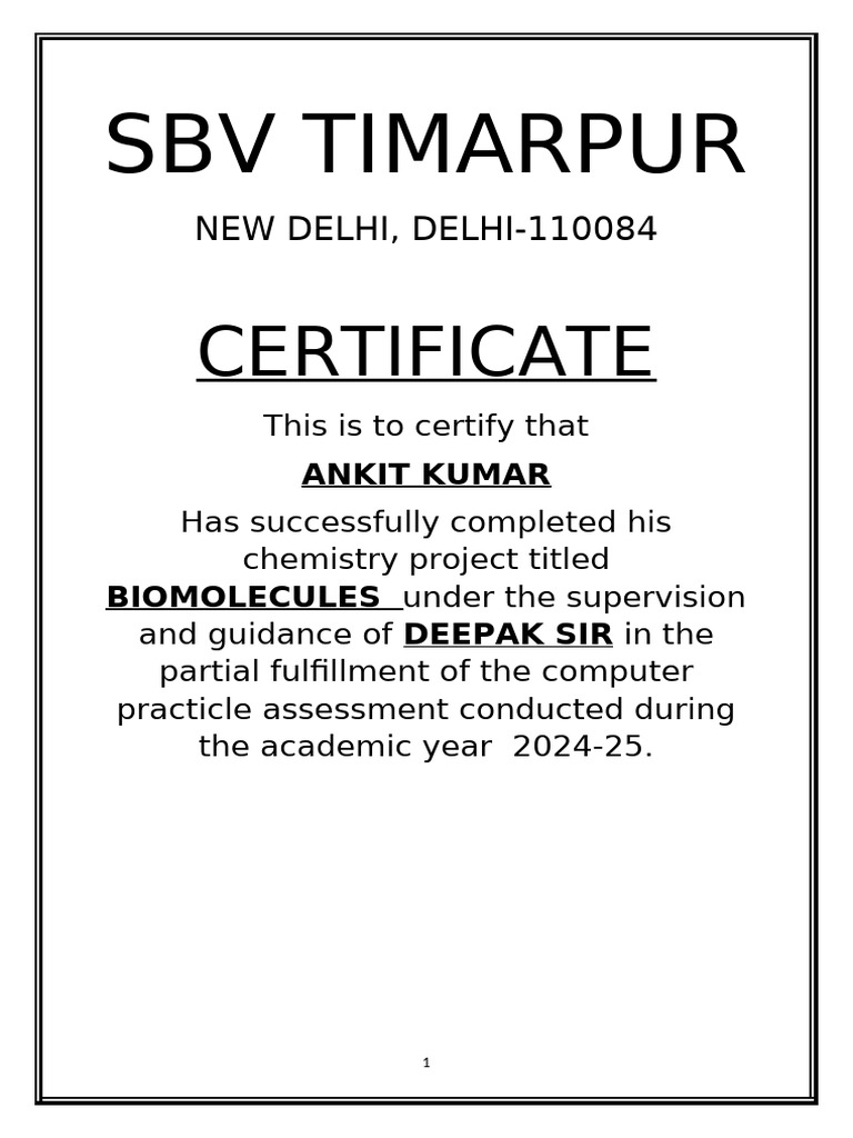 Computer Project Ankit | PDF