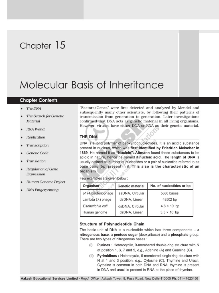 Ch-15_Molecular Basis of Inheritance | PDF | Dna | Dna Replication