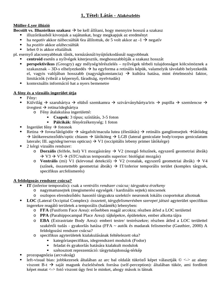 Tétel - Látás | PDF