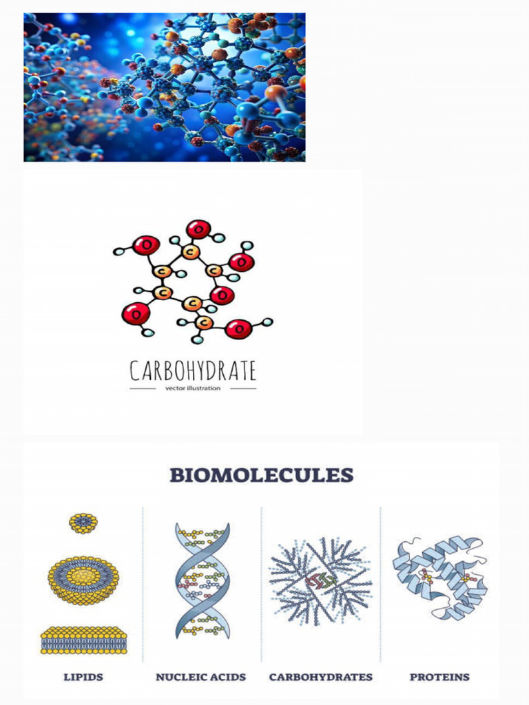 Biomolecules Project Img | PDF