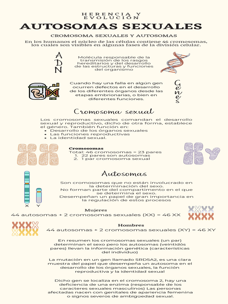 Autosomas Sexuales | PDF | Sexo | Cromosoma