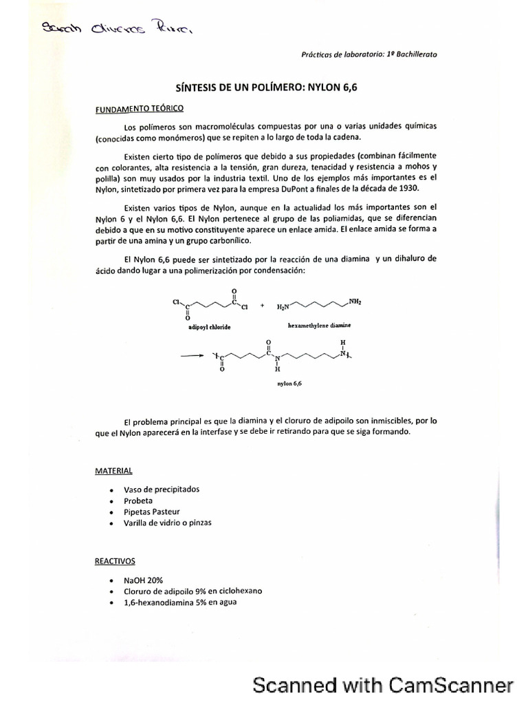 Saraholiverosp | PDF