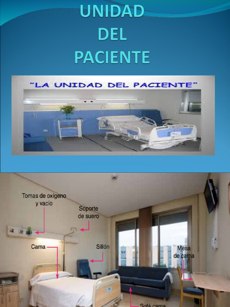 Principios de Anatomia y Fisiologia Tortora Derrickson | PDF | Cama