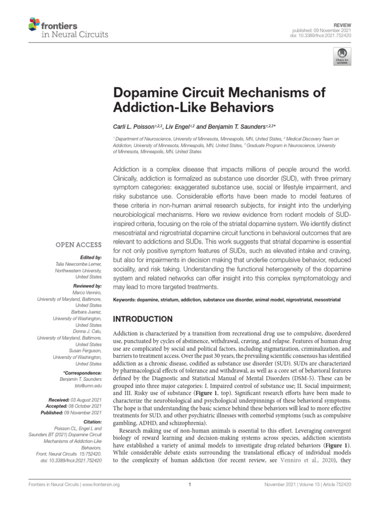 Dopamine Circuits in Addiction | PDF | Reward System | Neuroscience