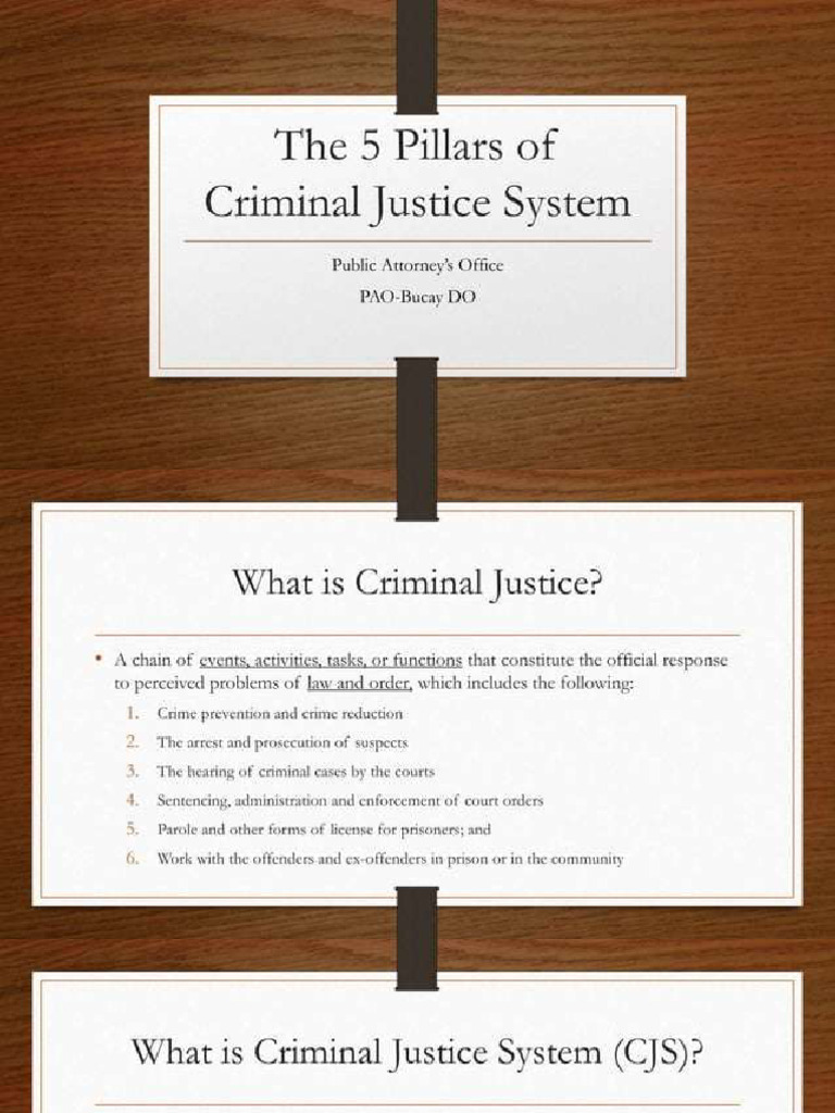 The 5 Pillars of Criminal Justice System | PDF
